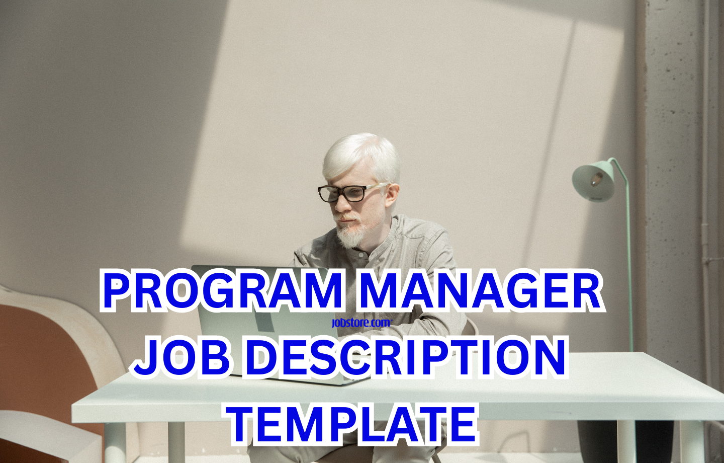PROGRAM MANAGER JOB DESCRIPTION TEMPLATE